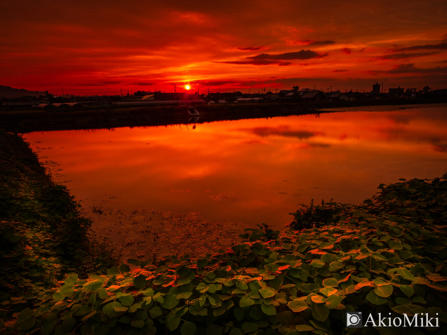 中学生＆高校生におすすめのカメラ9選！失敗しない選び方も紹介 | Akio Miki