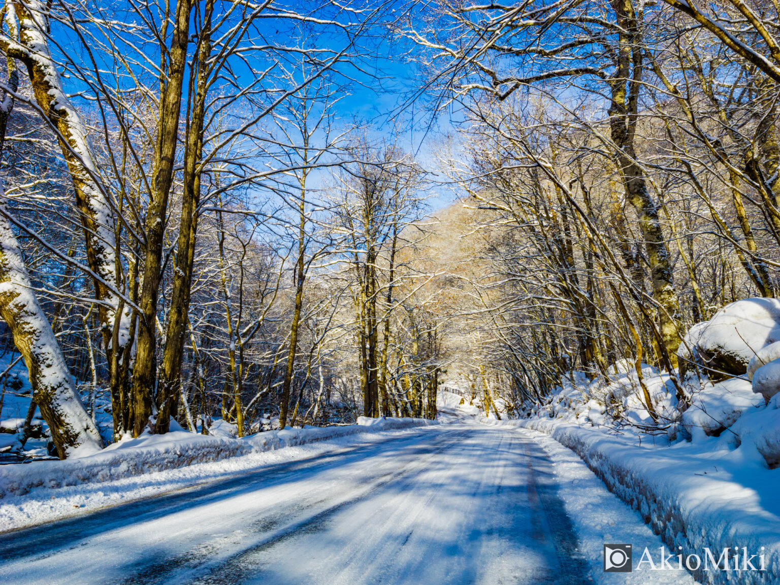 なぜ旅行でマイクロフォーサーズが使われるのか？m4/3ユーザーのAkioが4つの理由を解説 | Akio Miki