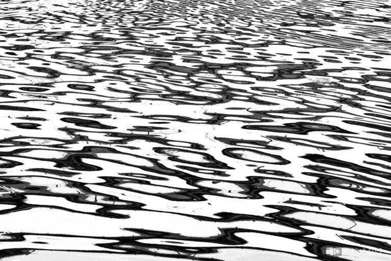 モノクローム(白黒写真)の基本って何？写真歴10年がテクニックを紹介 | Akio Miki